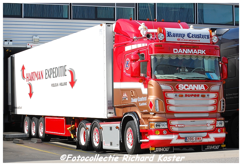 Ceusters, Ronny 286-BWK (1).jpg Picture