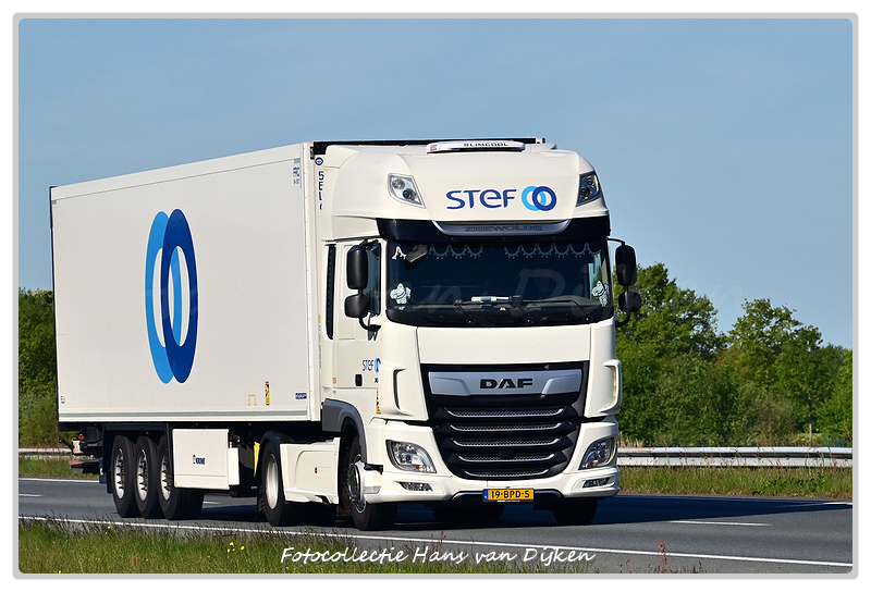 STEF Nederland - Bodegraven - Transportfotos.nl