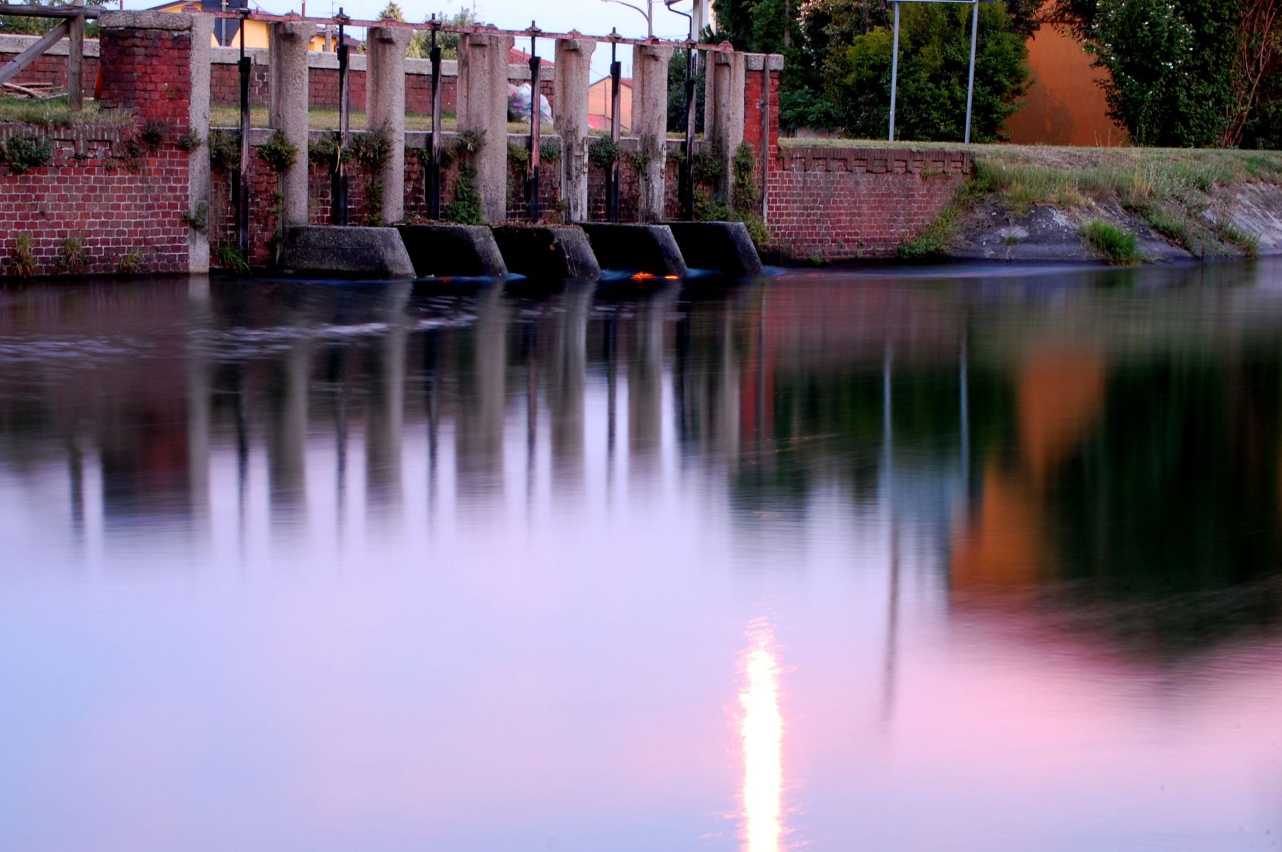 DSC_0023.JPG Picture