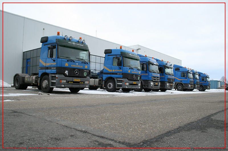 Schaap - Biddinghuizen - Transportfotos.nl