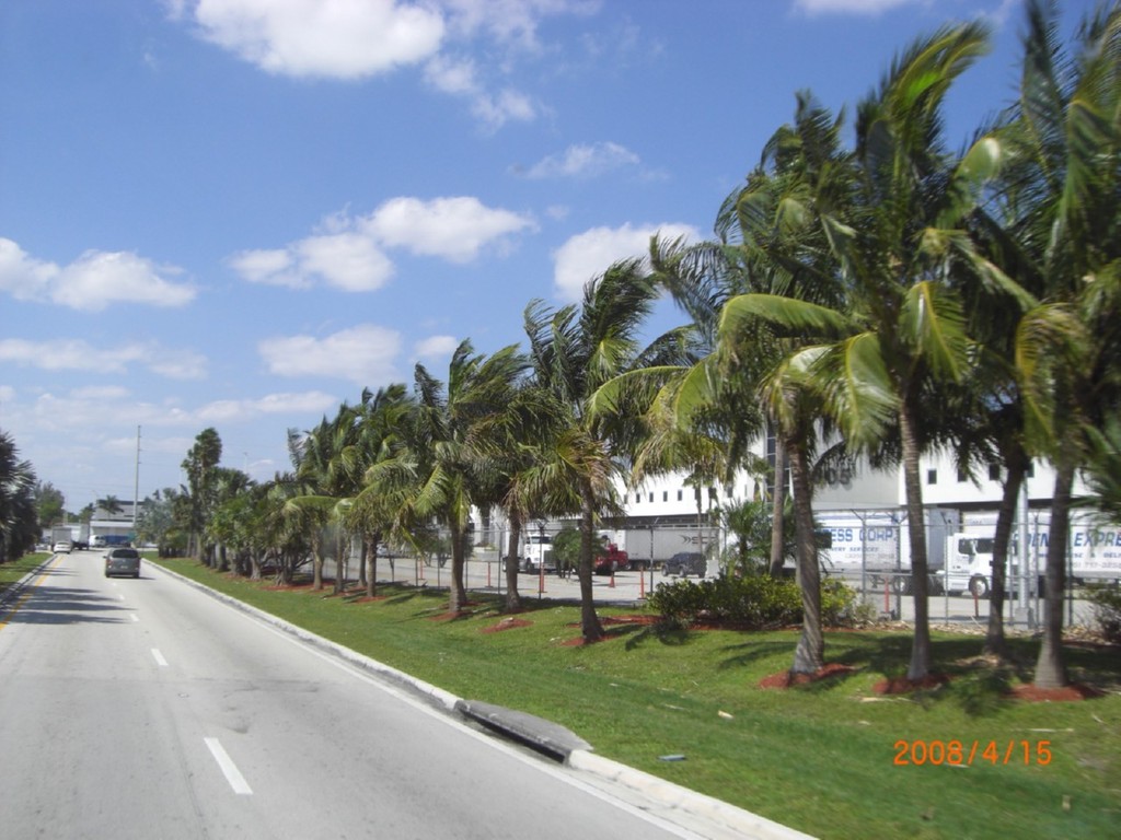 z0389.jpg Picture - Fotosik - April 2008