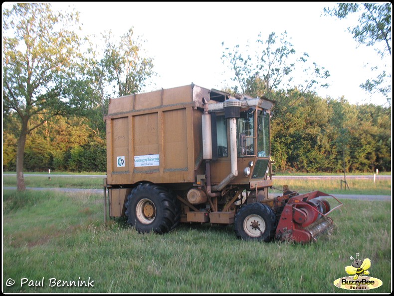 Hesston Field Queen 7655 (12)-BorderMaker.jpg Picture