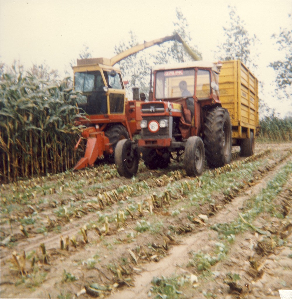 mf 185 somers.jpg Picture - somers