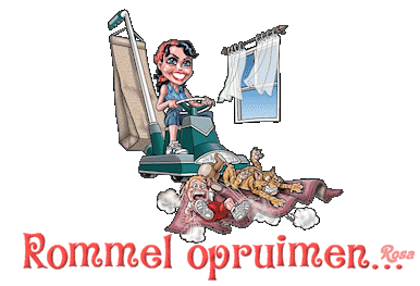 24 rommel opruimen24b.gif Afbeelding